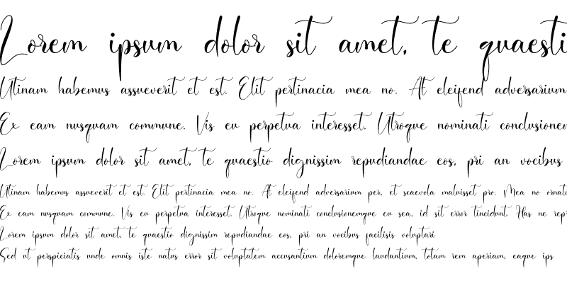 Baisley Font : Download For Free, View Sample Text, Rating And More On ...