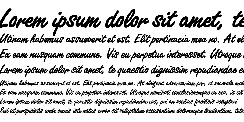 Freestyle Script Bold Regular Download For Free View Sample Text 
