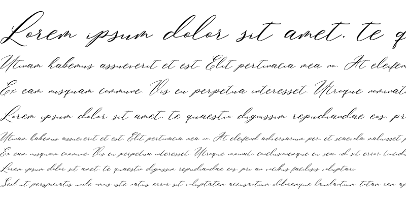 Miolleta Script Font : Download For Free, View Sample Text, Rating And More On Fontsgeek.Com